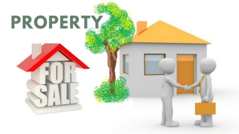 The Process of Property Purchase | EMT International Realty